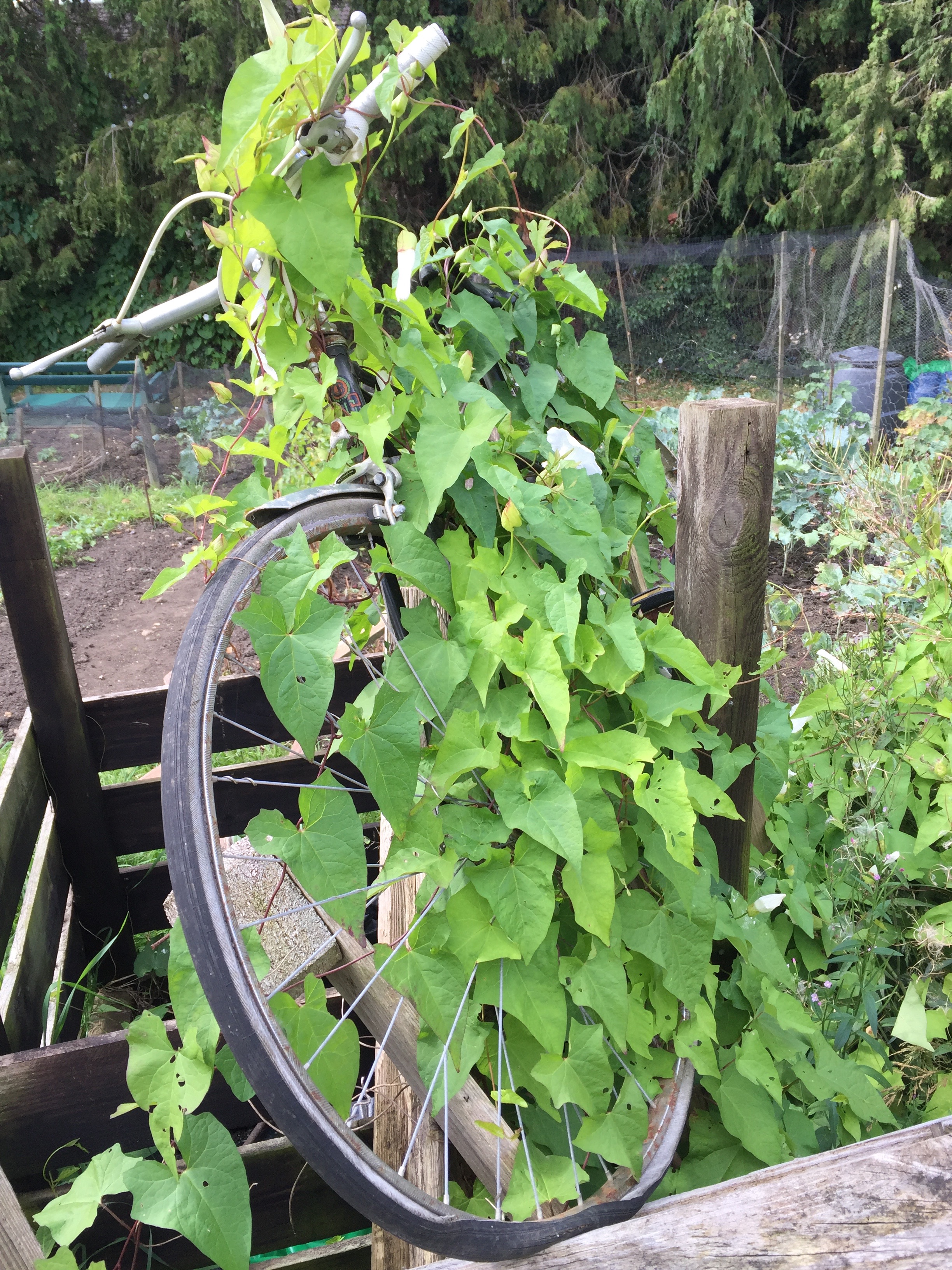 How to compost a bicycle – The Potwell Inn