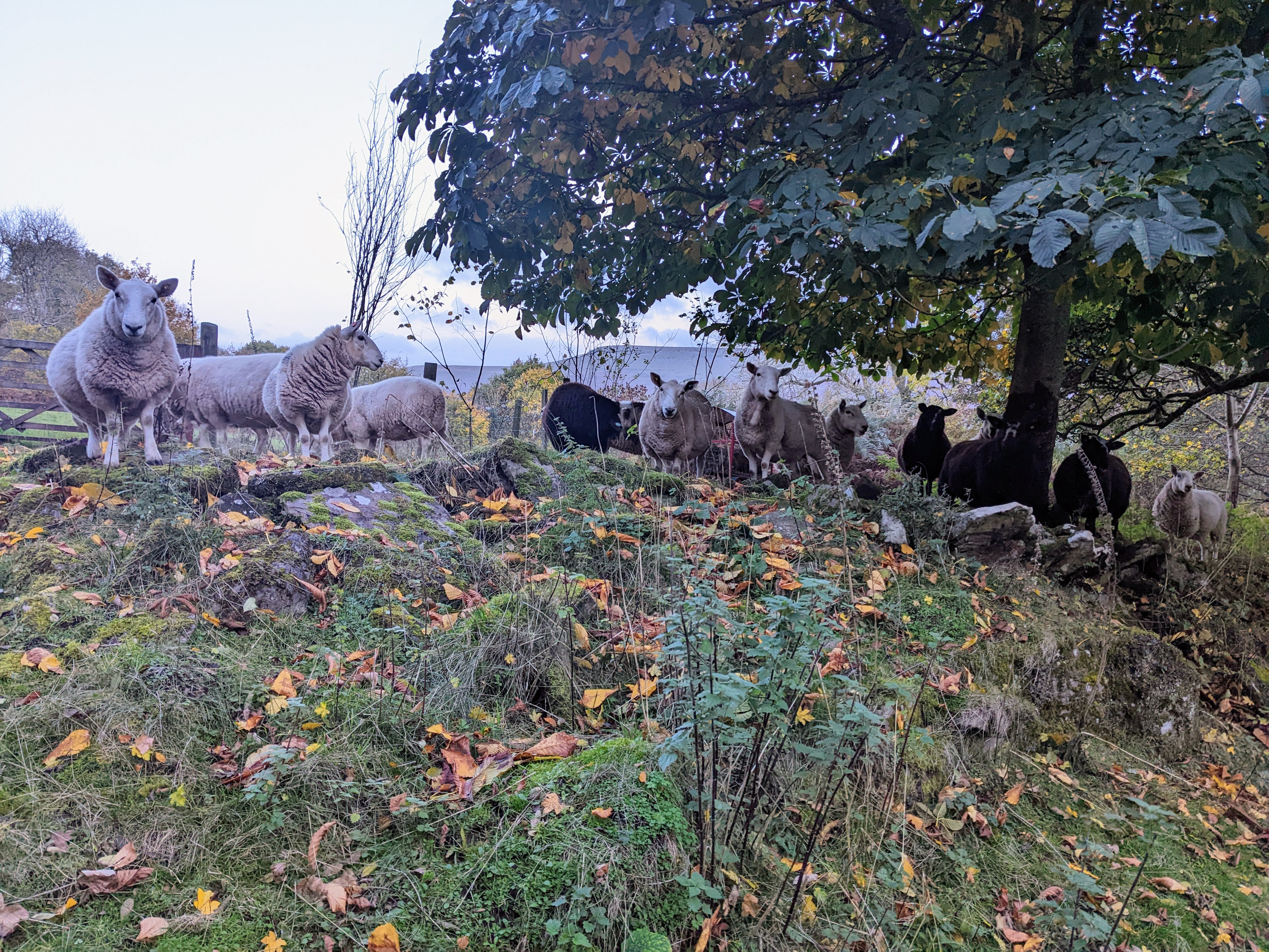 Food as resistance – pushing back against the lies that blind. – The ...